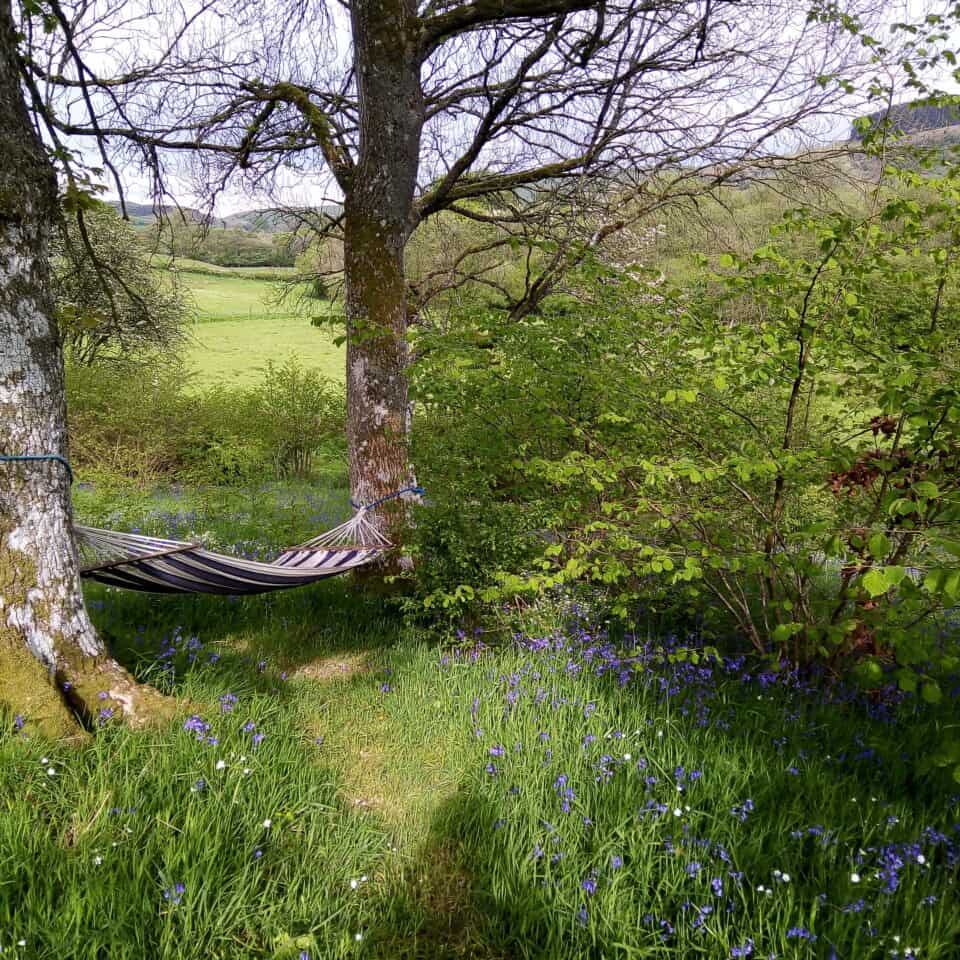 The Straw Cottage – Ty Gwyn Farm